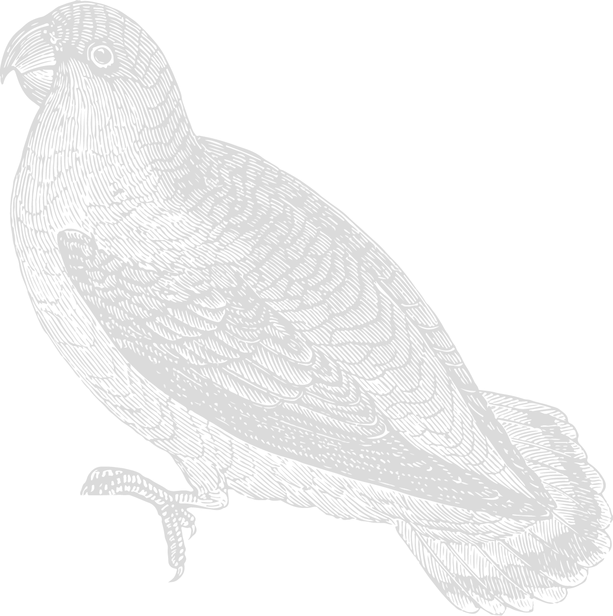 Touch Templates — 4ourth Mobile