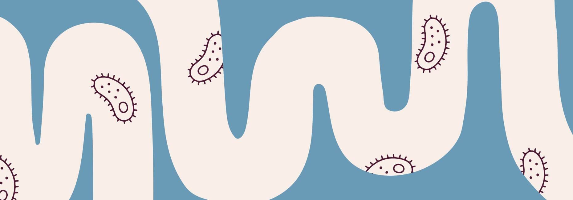 Probiotics For Type 2 Diabetes A Clinically Shown Way To Manage Your Symptoms — Riffle Through