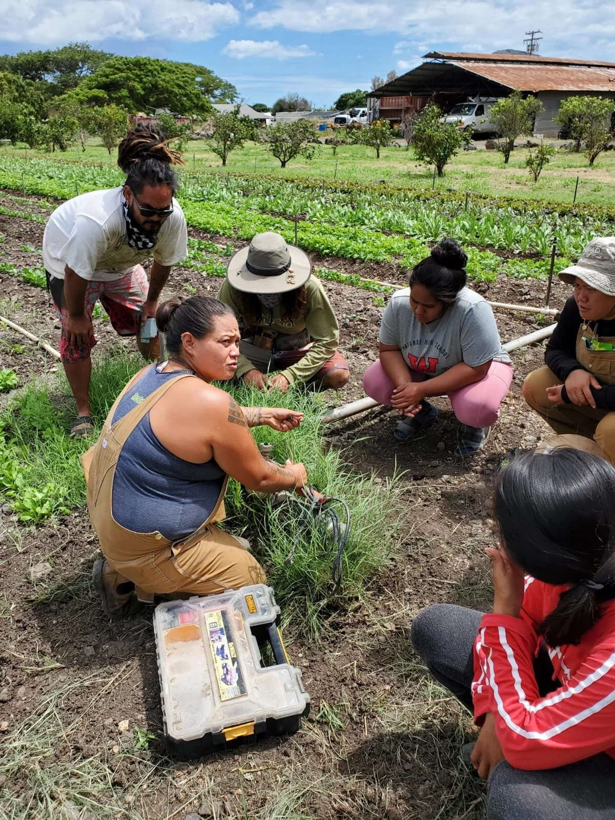 College Internships — MA‘O Organic farms