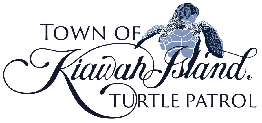 #SeaTurtleWeek