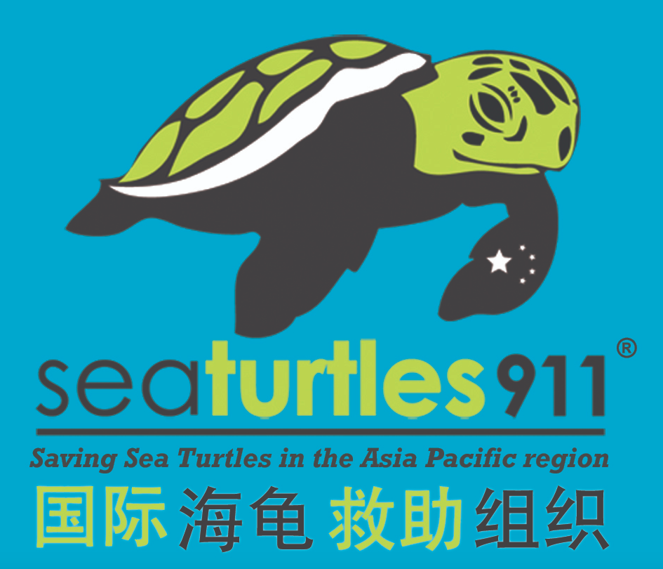 #SeaTurtleWeek