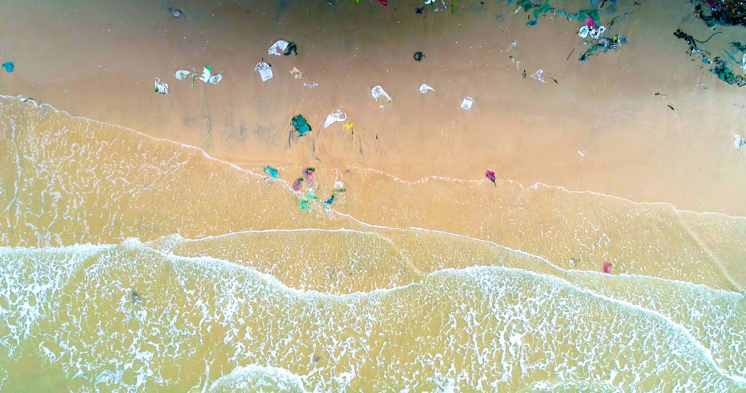 Global Ocean Cleanup — #SeaTurtleWeek