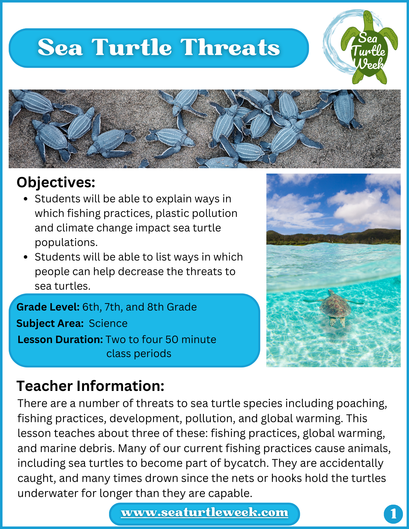 6-8th Grade — #SeaTurtleWeek