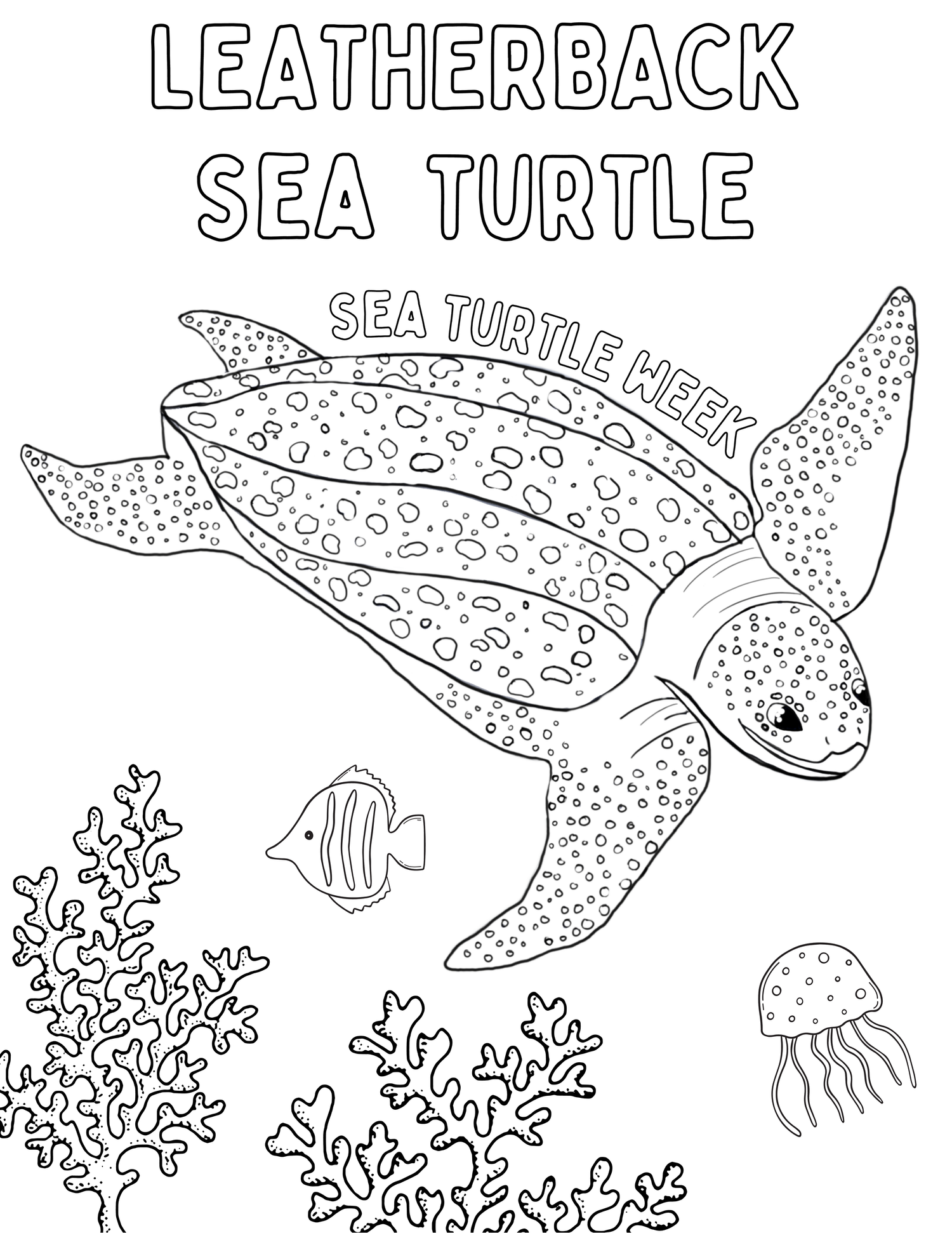 Coloring Sheets — #SeaTurtleWeek