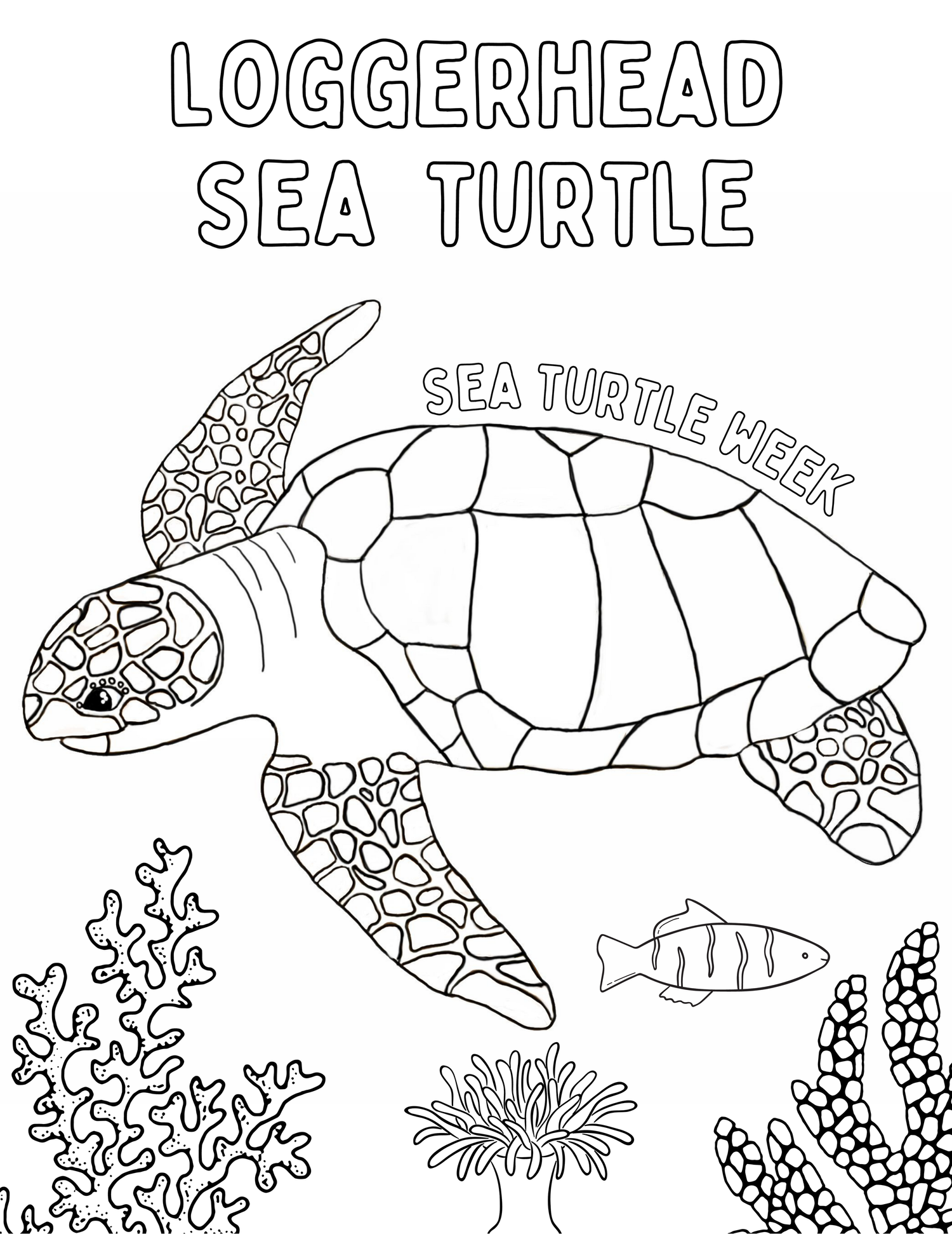Coloring Sheets — #SeaTurtleWeek