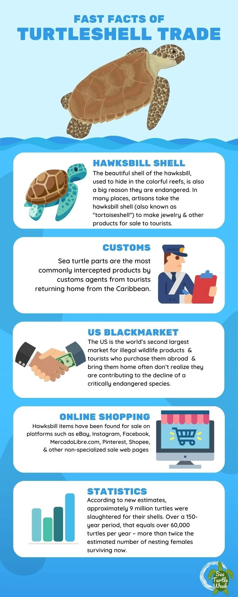 Turtleshell Trade — #SeaTurtleWeek