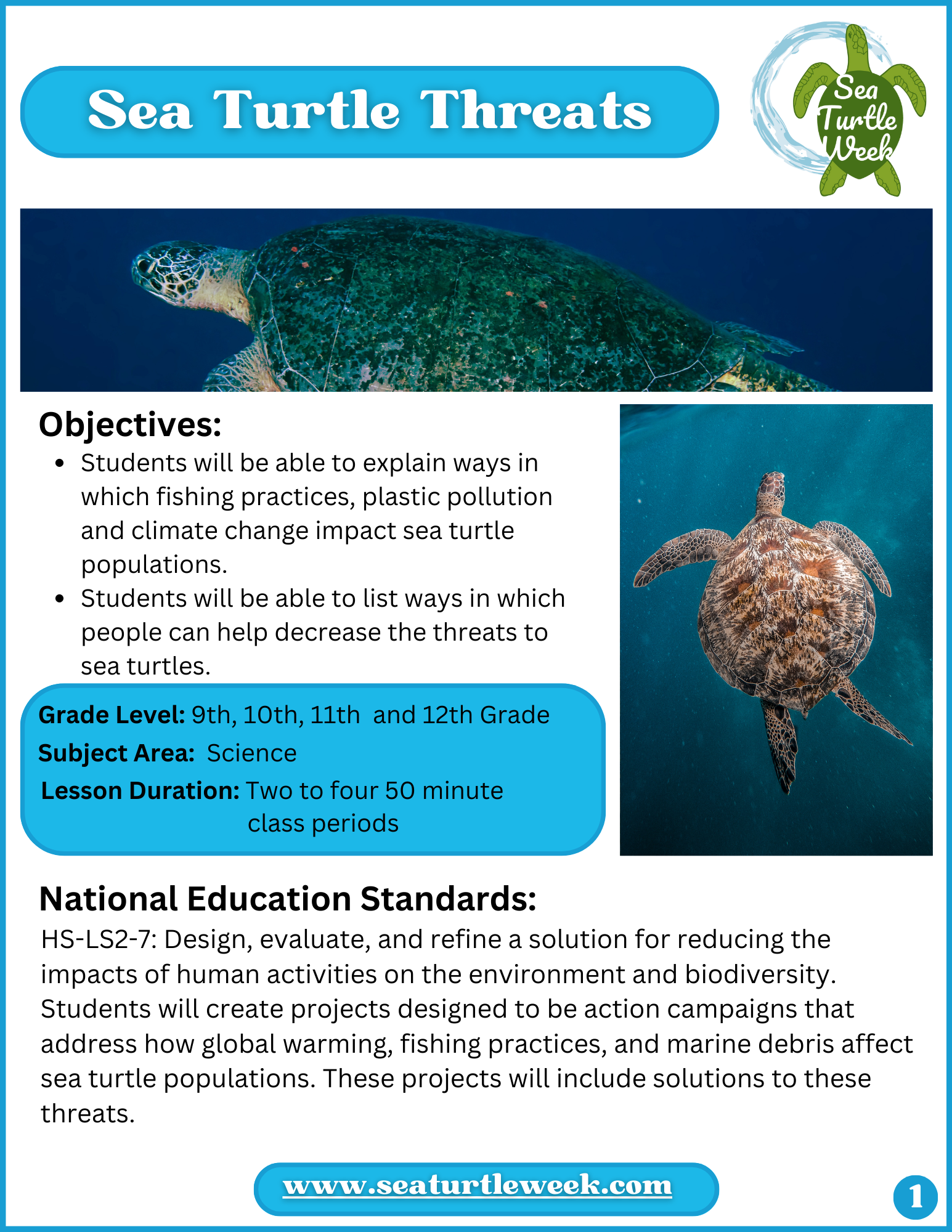 9-12th Grade — #SeaTurtleWeek