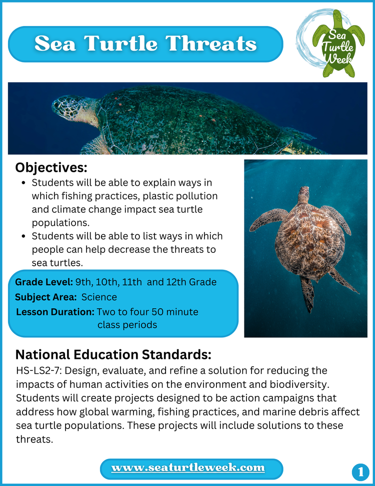 9-12th Grade — #SeaTurtleWeek
