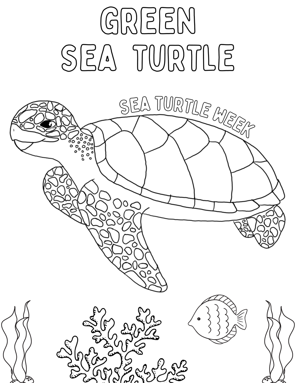Coloring Sheets — #SeaTurtleWeek
