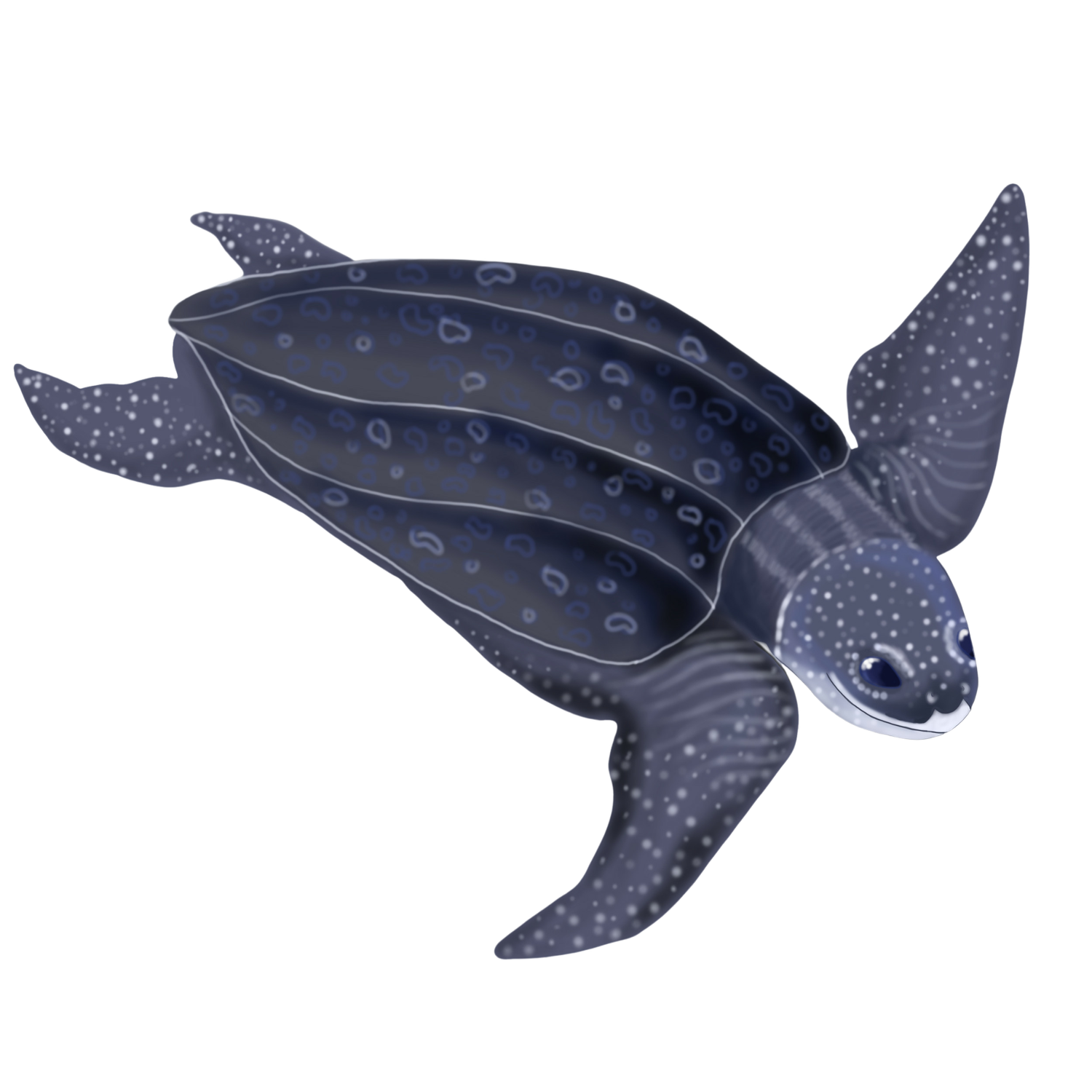 Leatherback Day — #SeaTurtleWeek