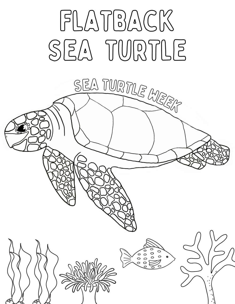 Coloring Sheets — #SeaTurtleWeek
