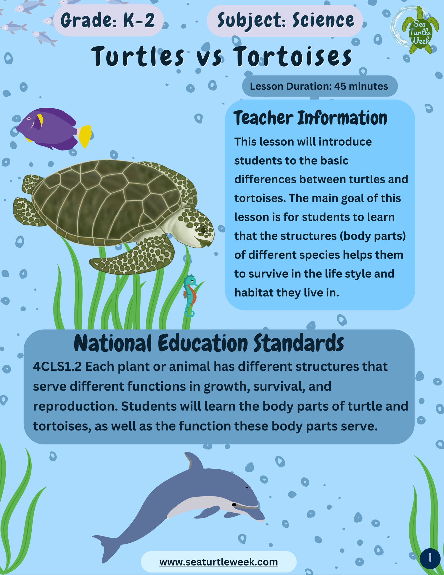 K-2nd Grade — #SeaTurtleWeek