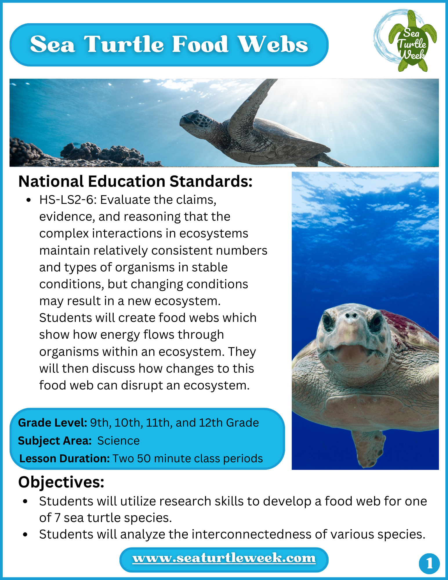 9-12th Grade — #SeaTurtleWeek