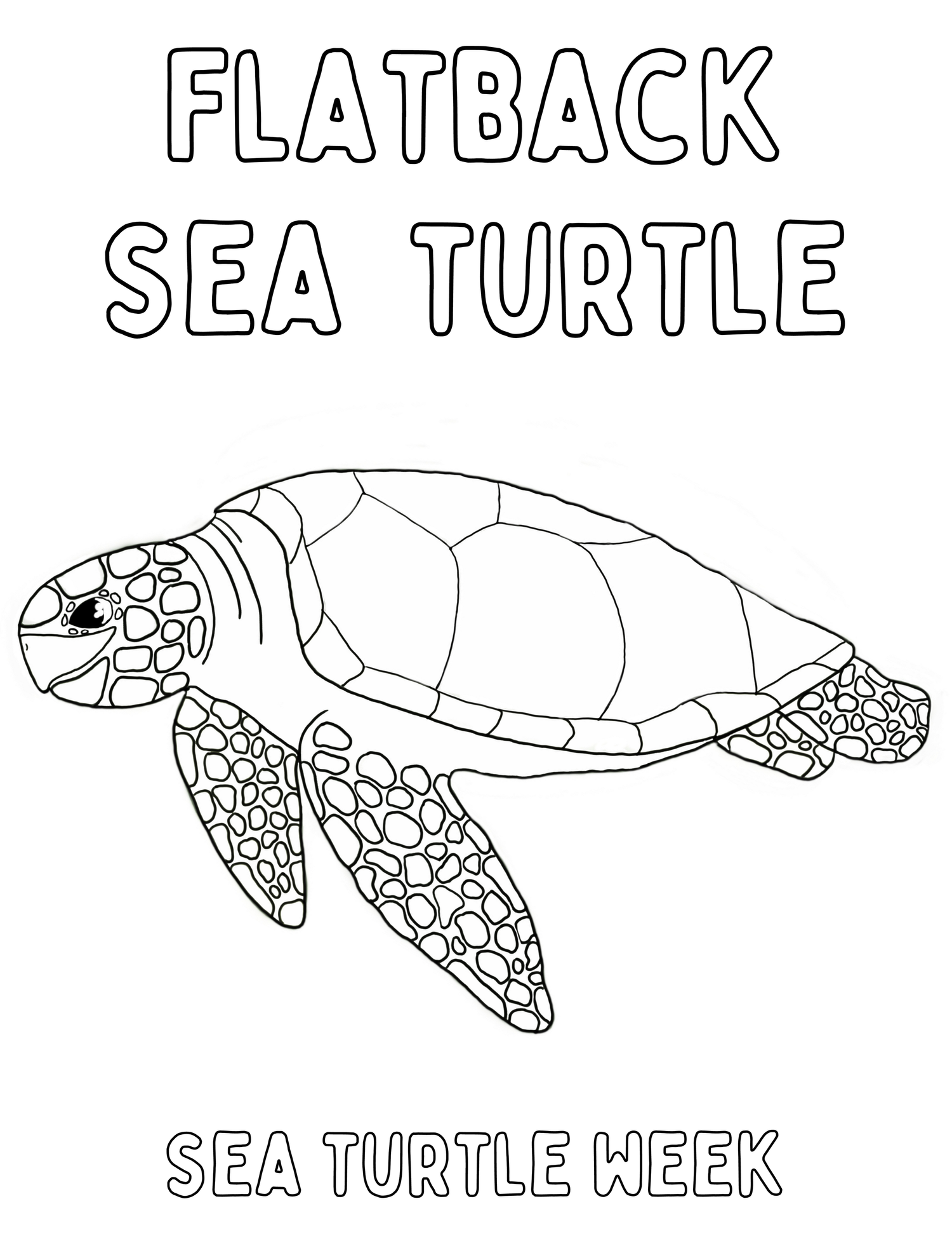Coloring Sheets — #SeaTurtleWeek