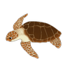 Loggerhead Day — #SeaTurtleWeek