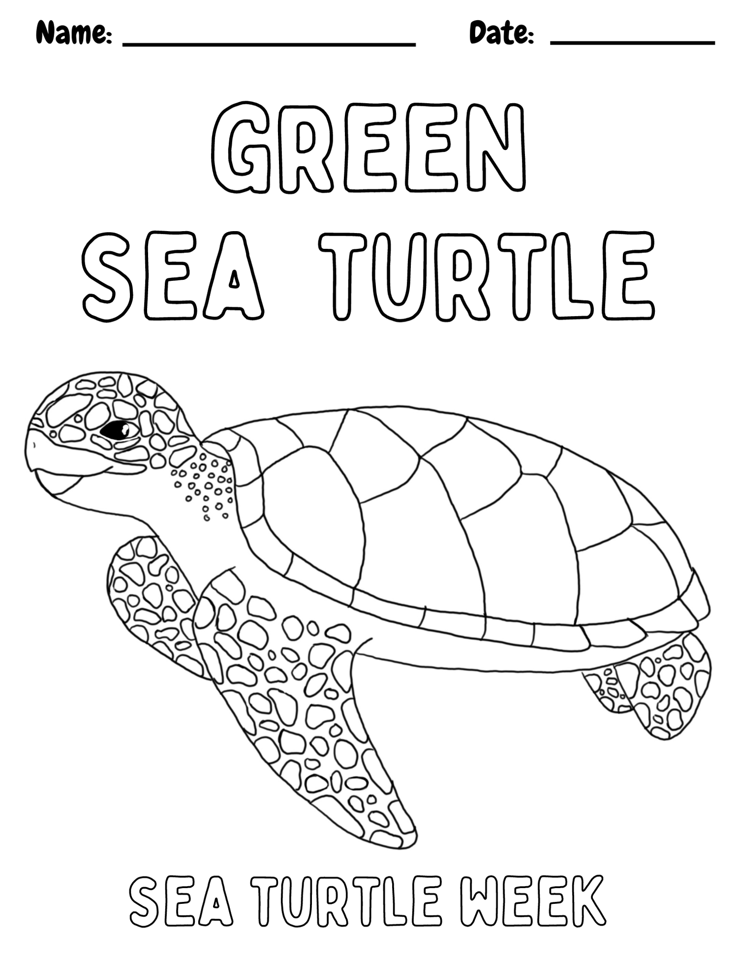 K-2nd Grade — #SeaTurtleWeek