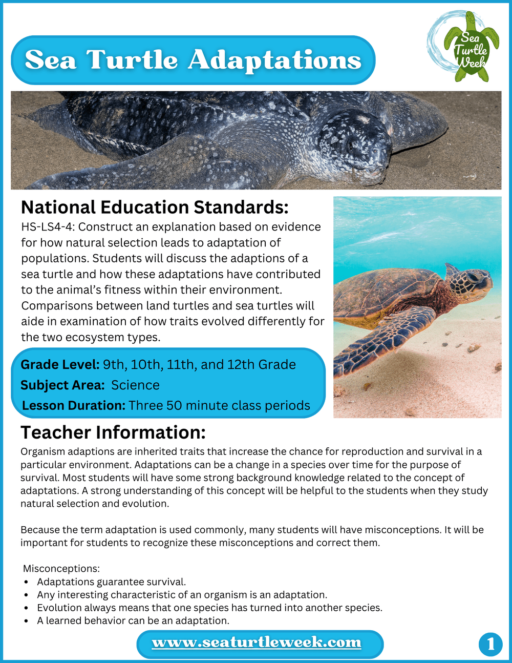 9-12th Grade — #SeaTurtleWeek