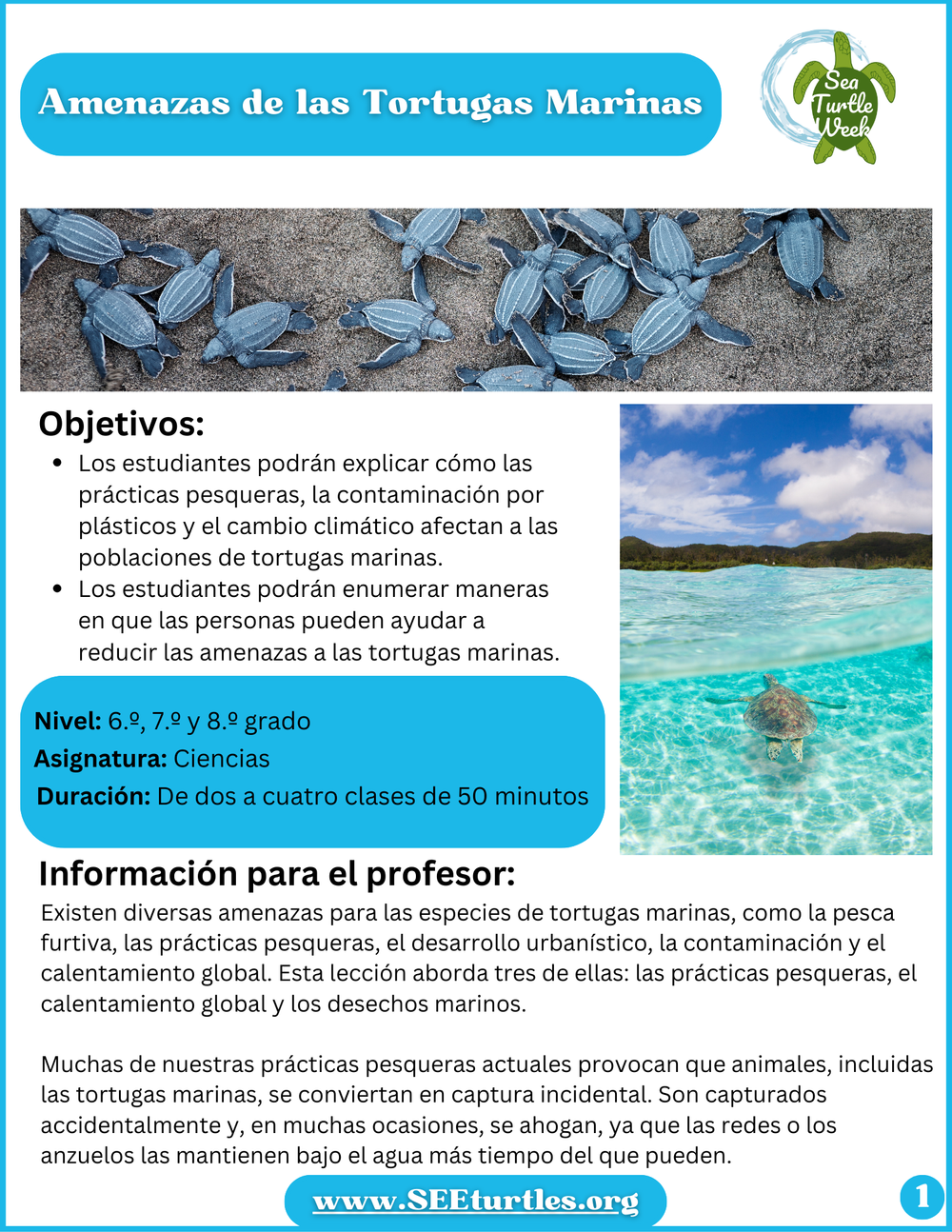 6.º a 8.º Grado Spanish — #SeaTurtleWeek