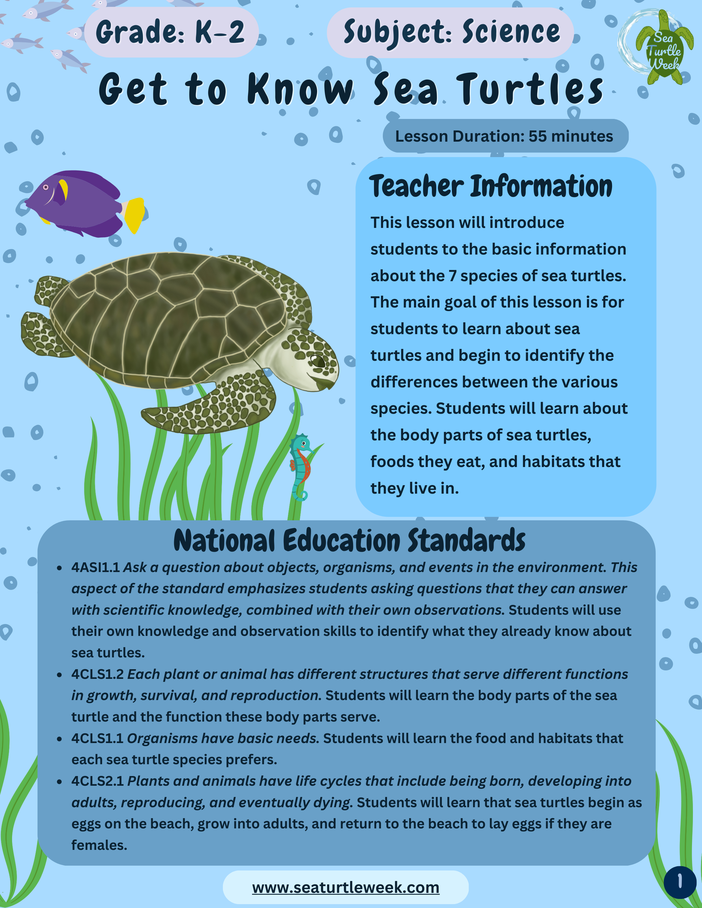 K-2nd Grade — #SeaTurtleWeek