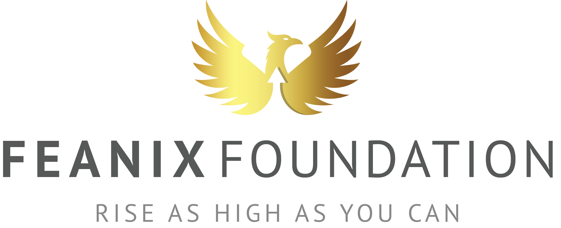 FEANIX FOUNDATION