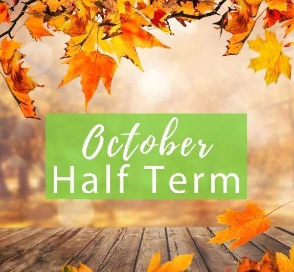 Curriculum — Downton CE Primary School