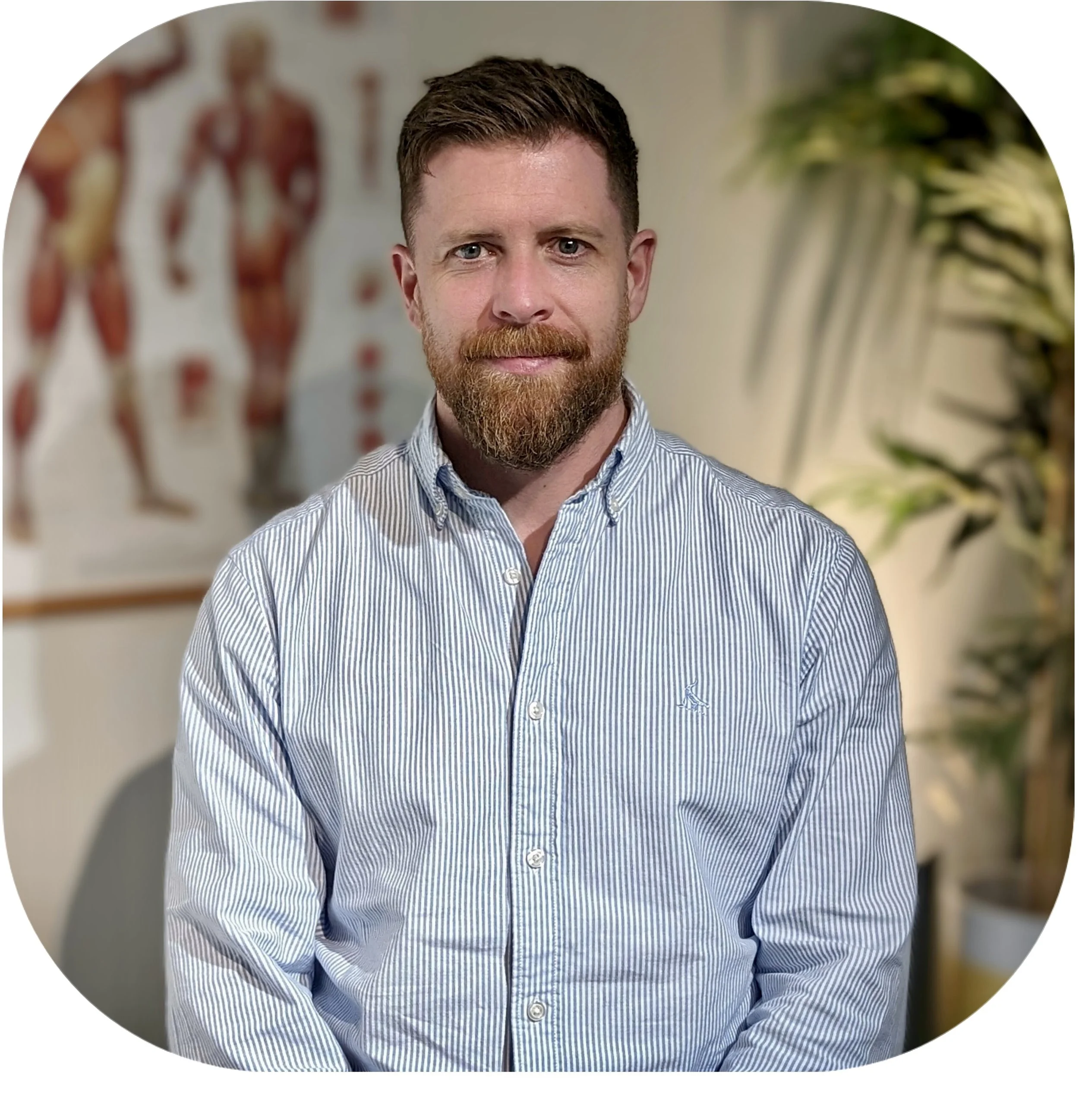 David Collie — DC PHYSIOTHERAPY