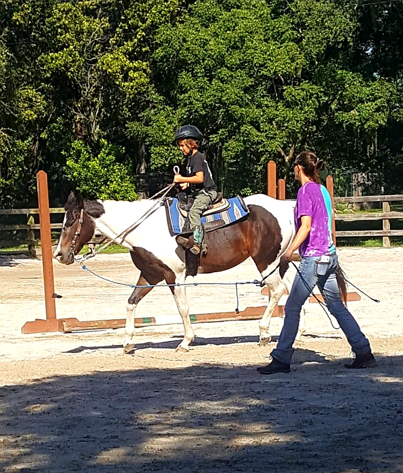 Riding Lessons MM Equestrian Farm