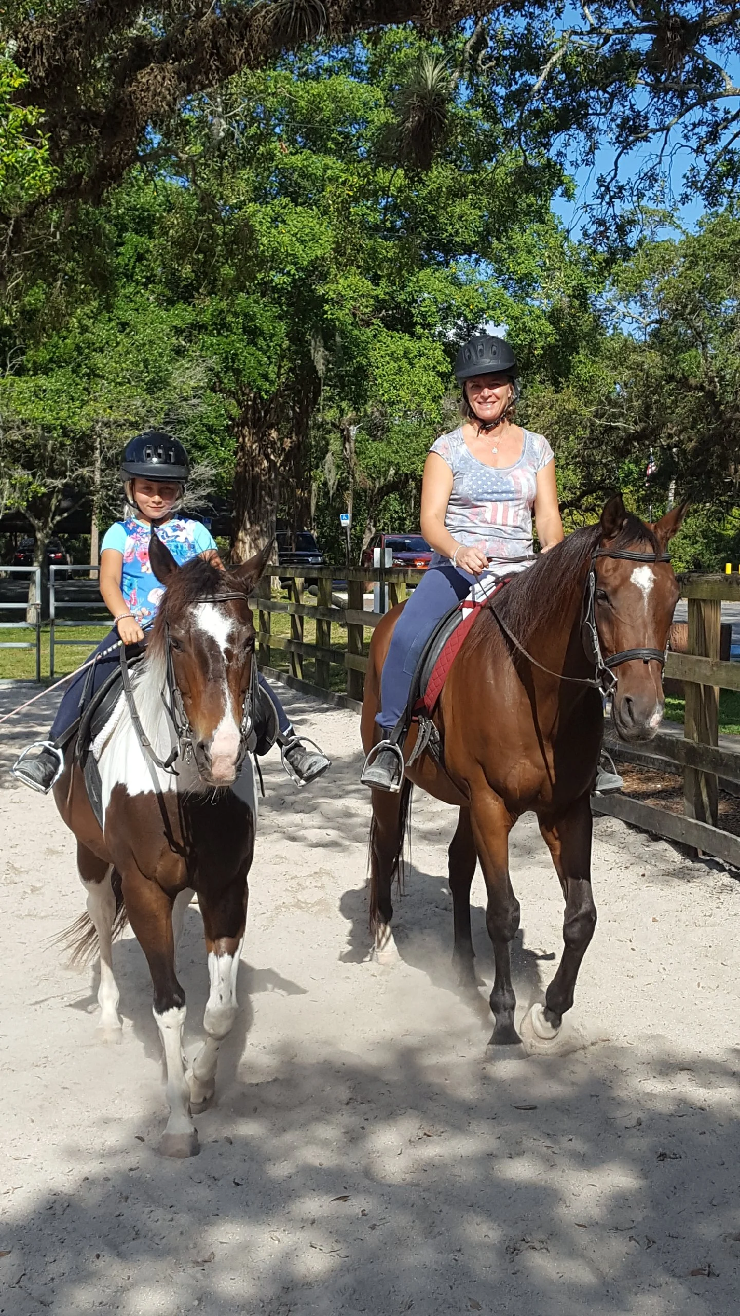 Riding Lessons — MM Equestrian Farm