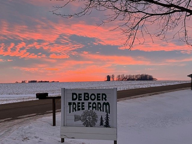 About/Gallery — DeBoer Tree Farm