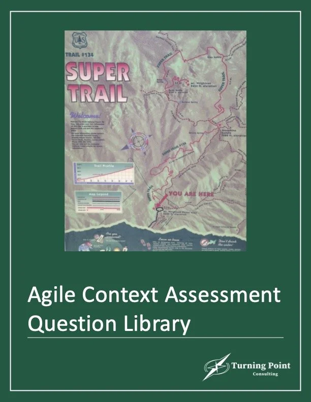 4 Organizational Assessment Areas for Lean-Agile Transformations ...