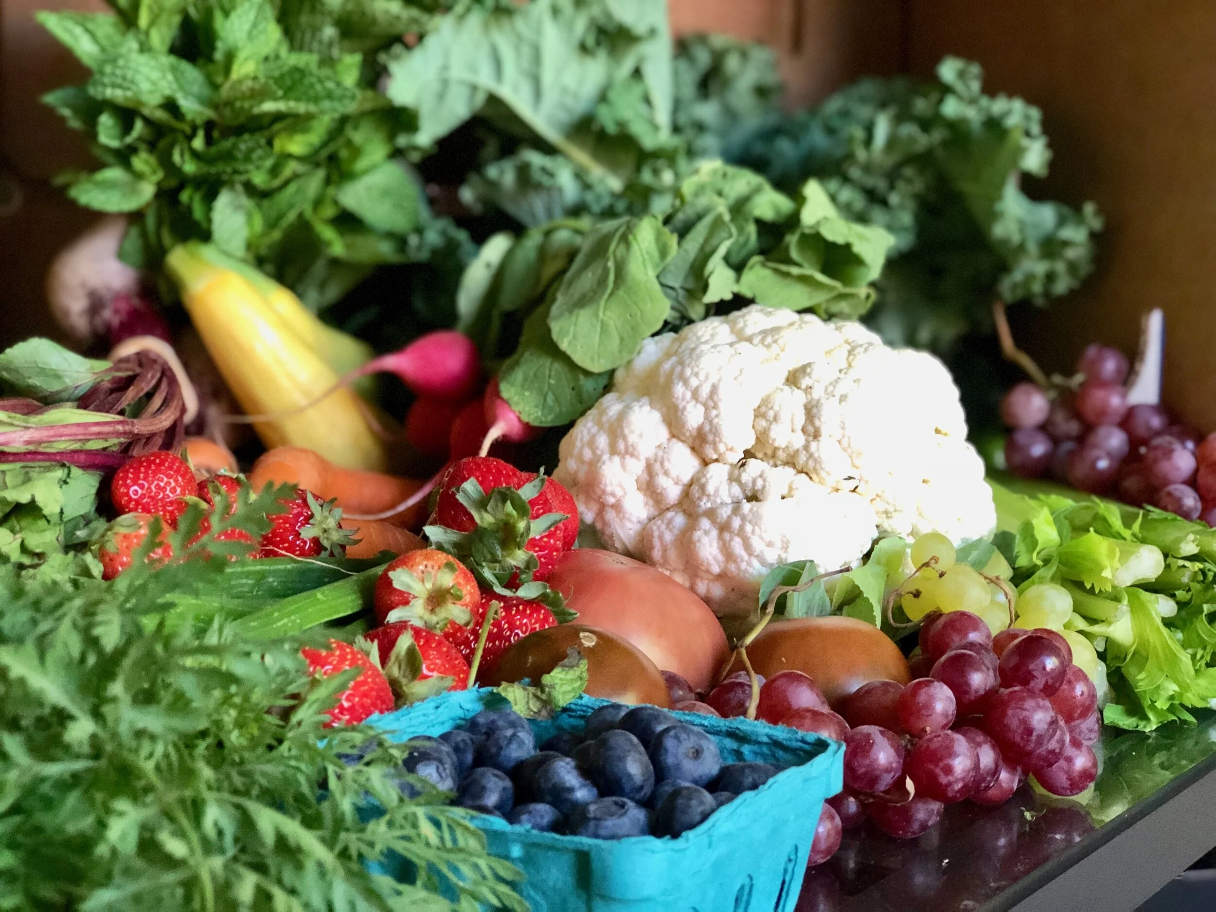 Organic Farm Food Knowledge Hub For Organic Agriculture InEastAfrica Organic Farm Food Knowledge Hub For Organic Agriculture InEastAfrica