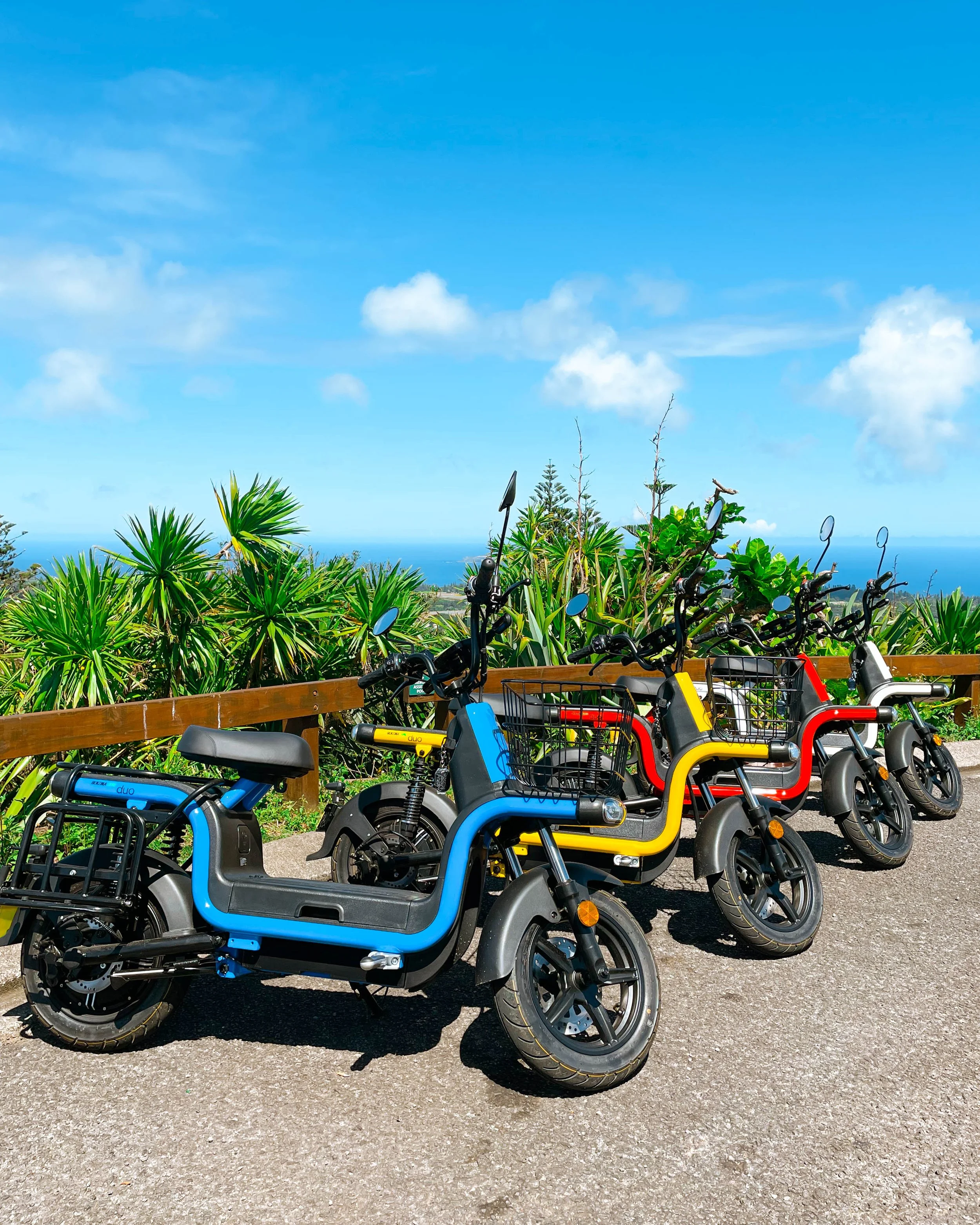BENZINA ZERO — Electric Mopeds & Scooters