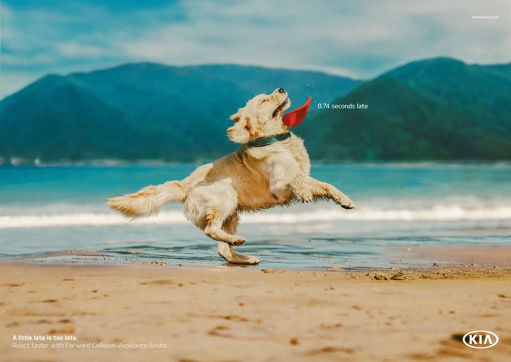 Slow Dogs — PEDRO LOURENÇO