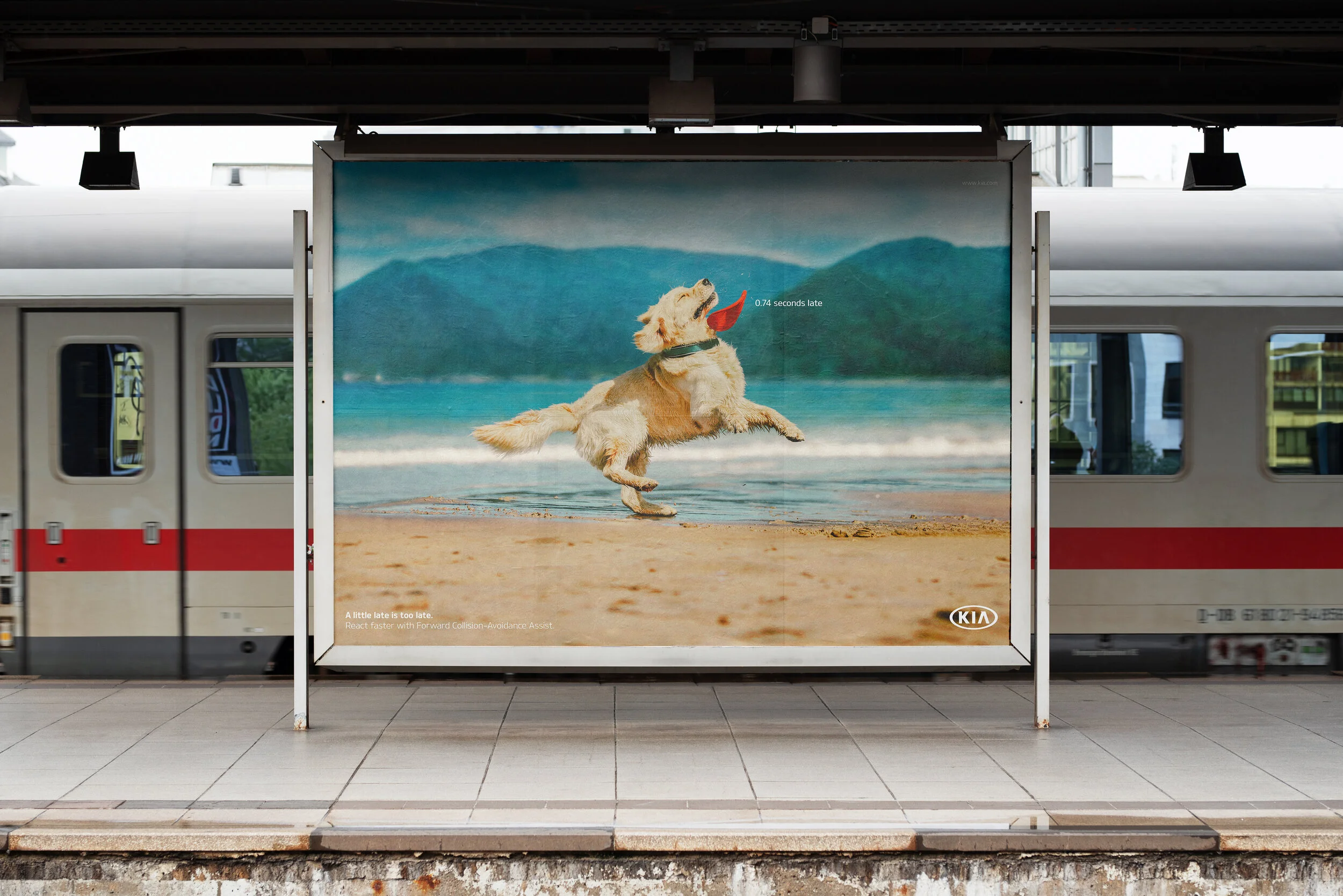 Slow Dogs — PEDRO LOURENÇO
