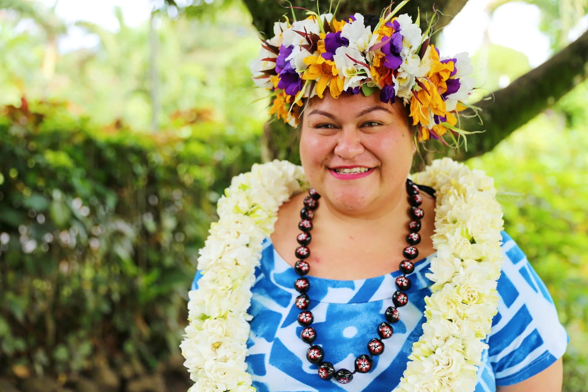 Cook Islands Seabed Minerals Authority - Advisory Committee