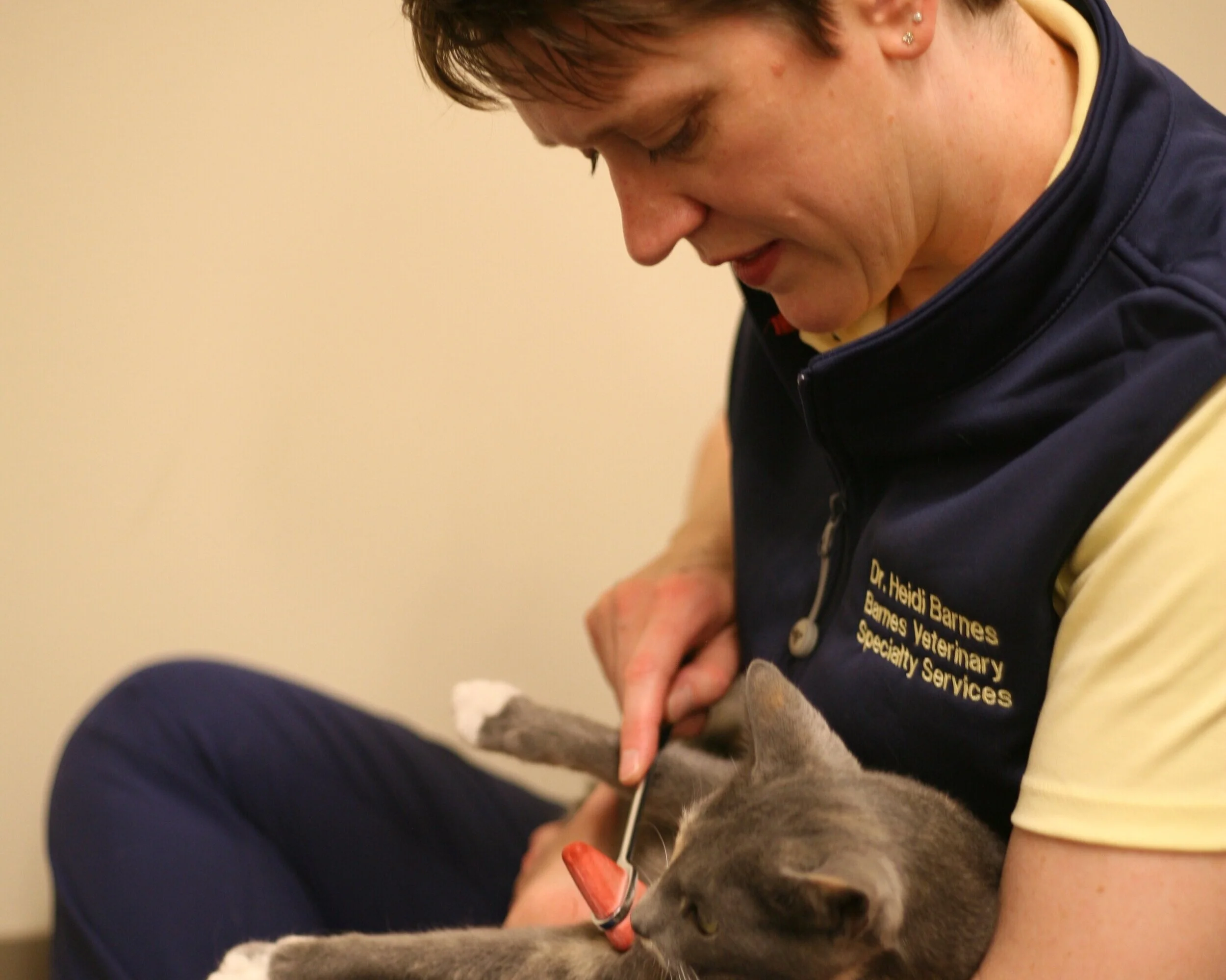 %BarnesVeterinaryServices