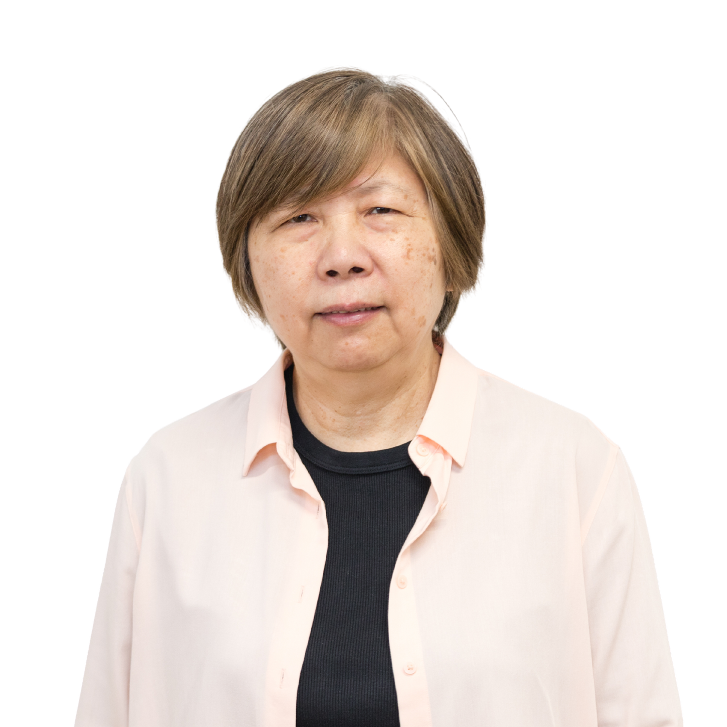 Our Team — Belong Aotearoa