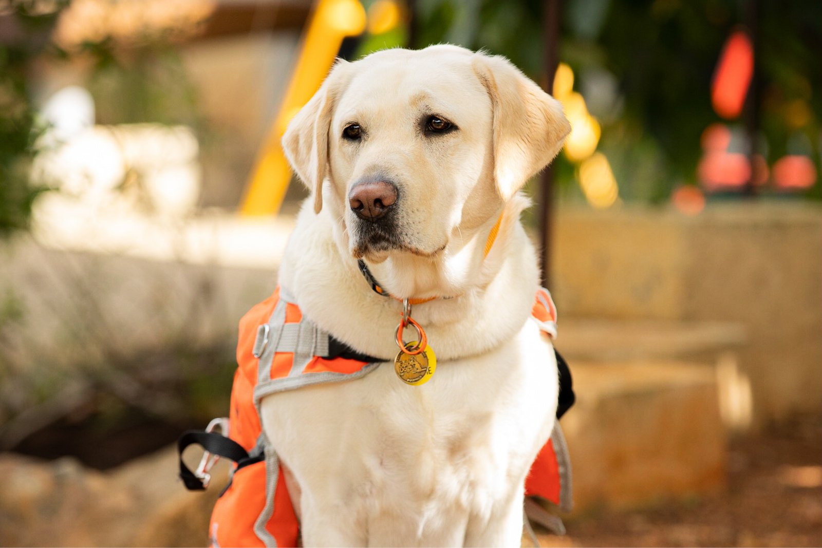 CONNECTING CANINE COMPANIONS — Stan Perron Charitable Foundation