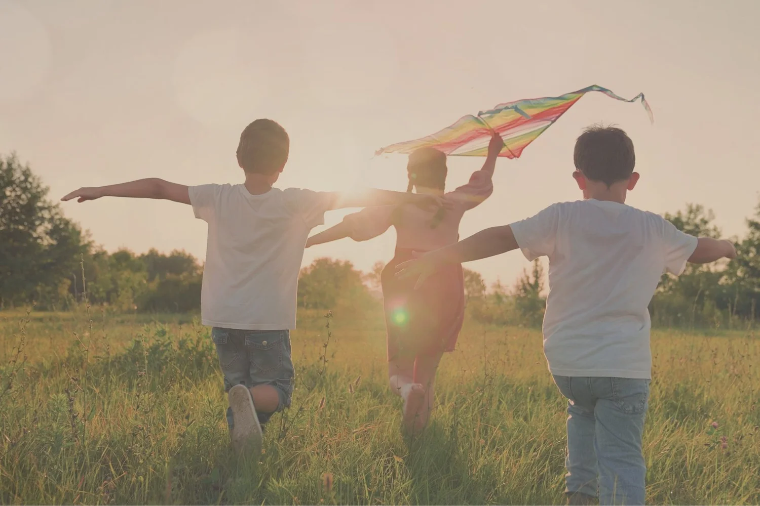 Foundation awards grants to propel groundbreaking health research ...