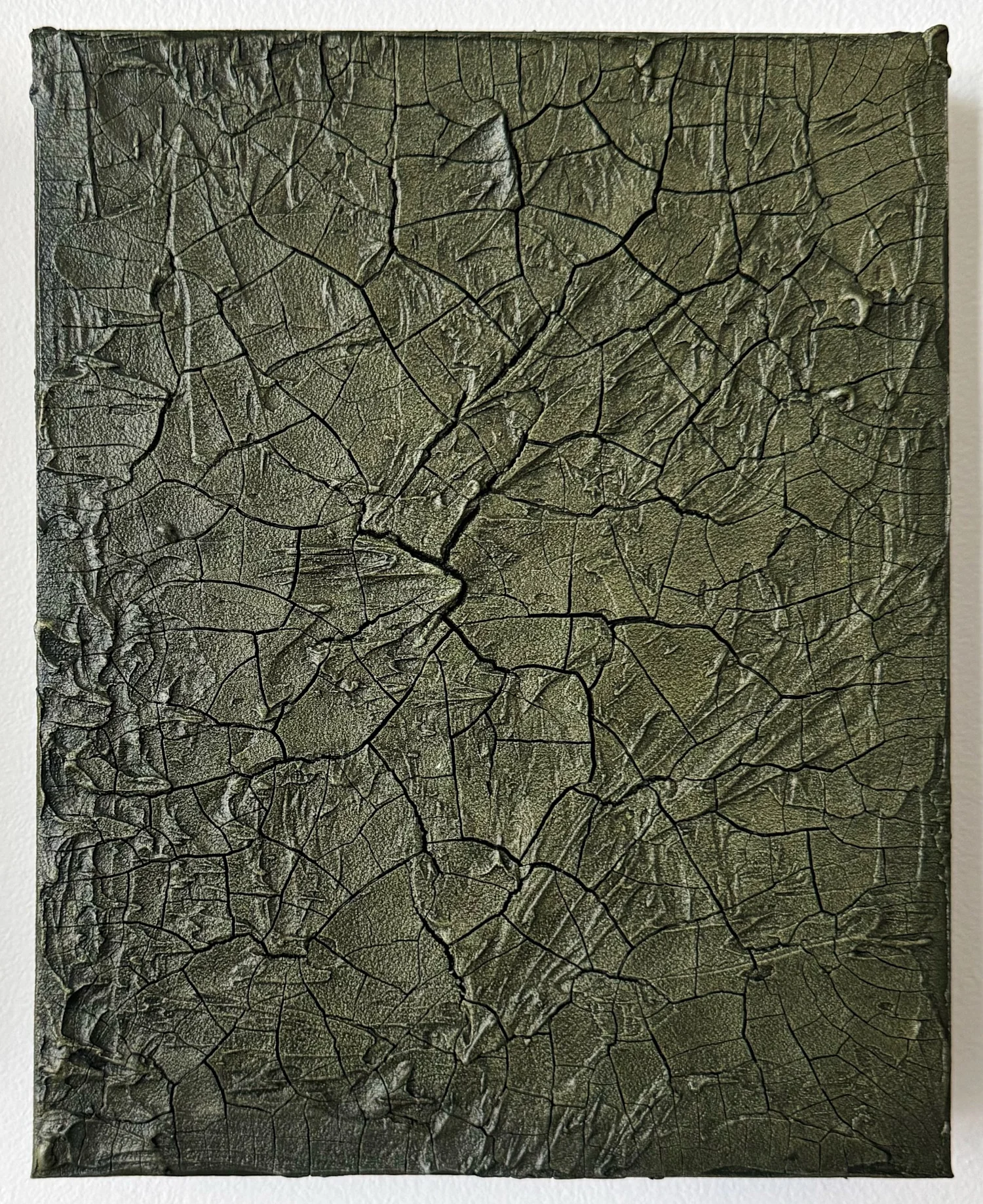 CARINA TENAGLIA