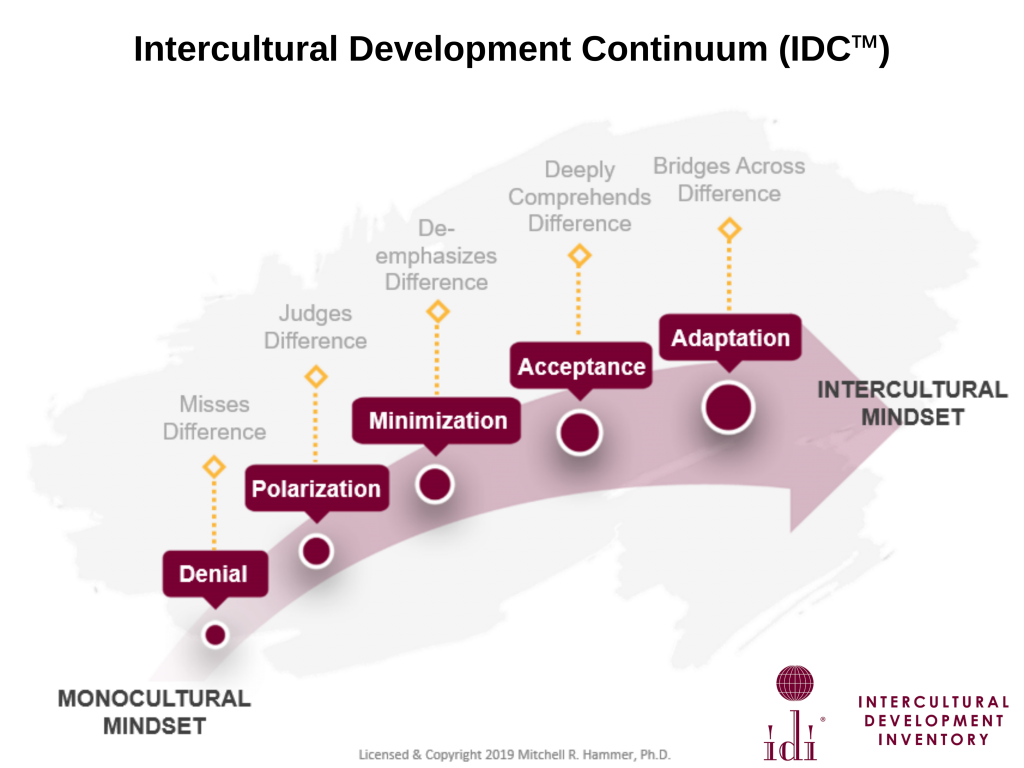 What is the IDI? — Sarah Rimmel