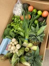 Solidarity Food Shares — Kaizen Food Rescue | Denver Metro