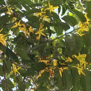 Products — Frogworks