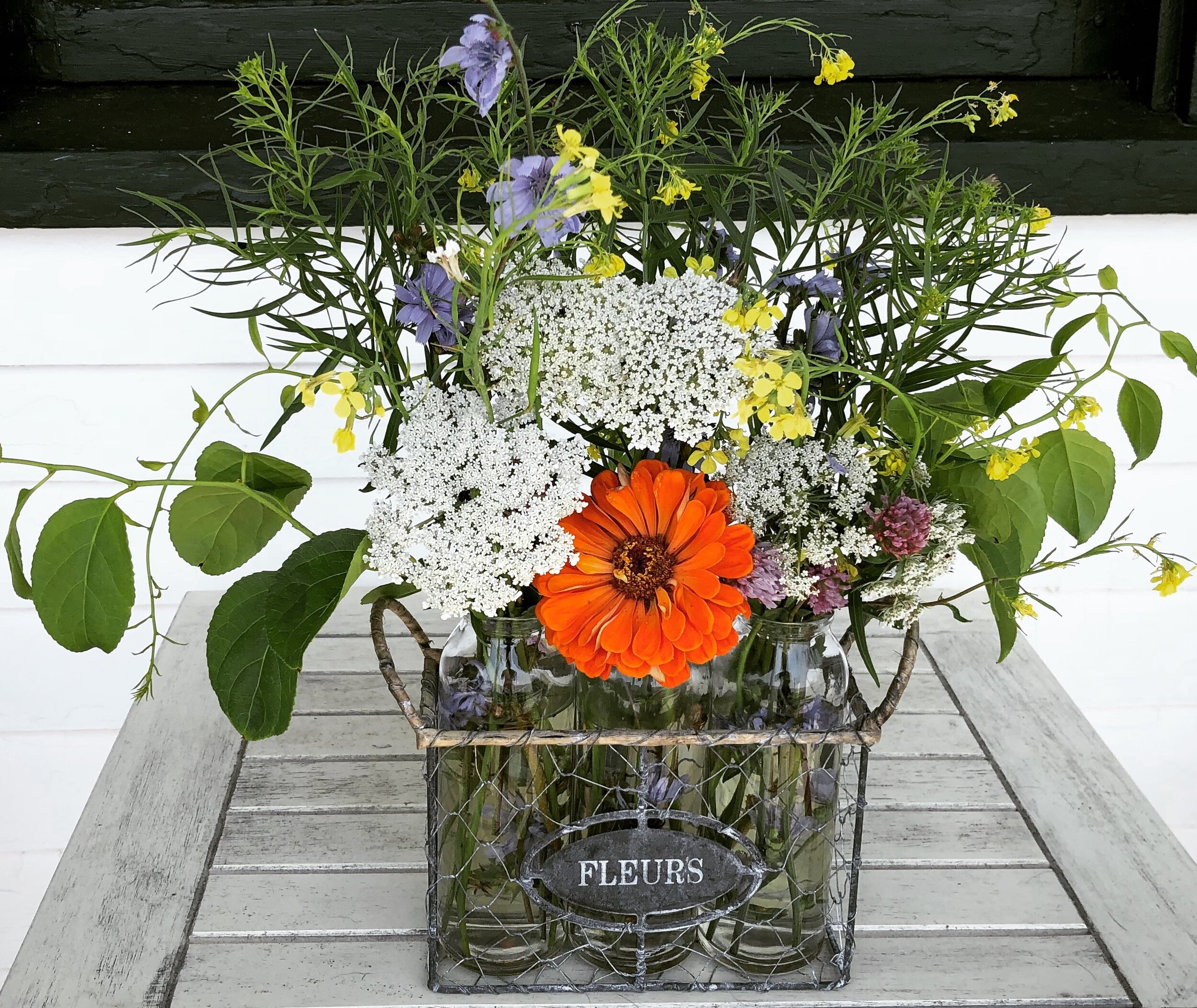 Products — Frogworks