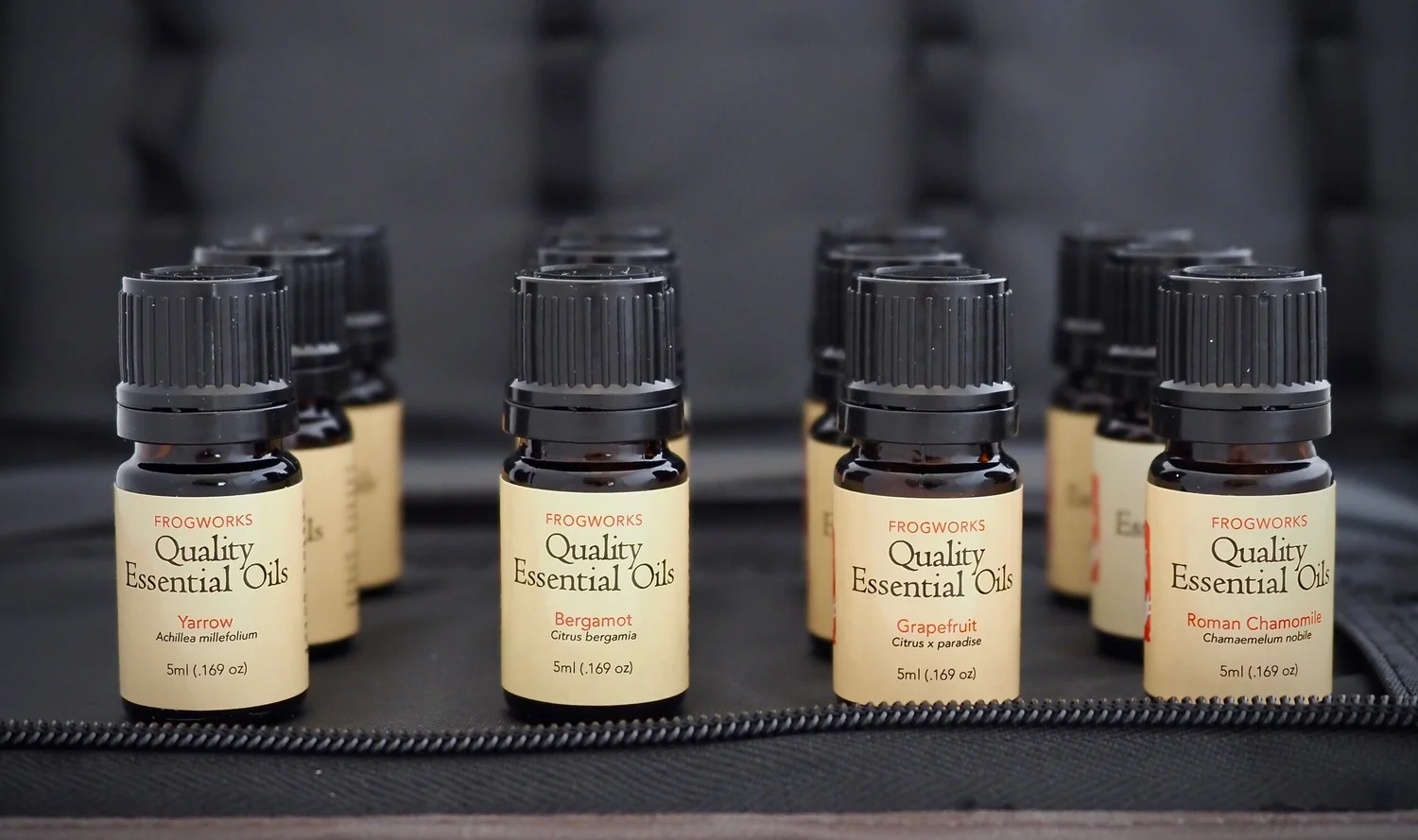 Products — Frogworks