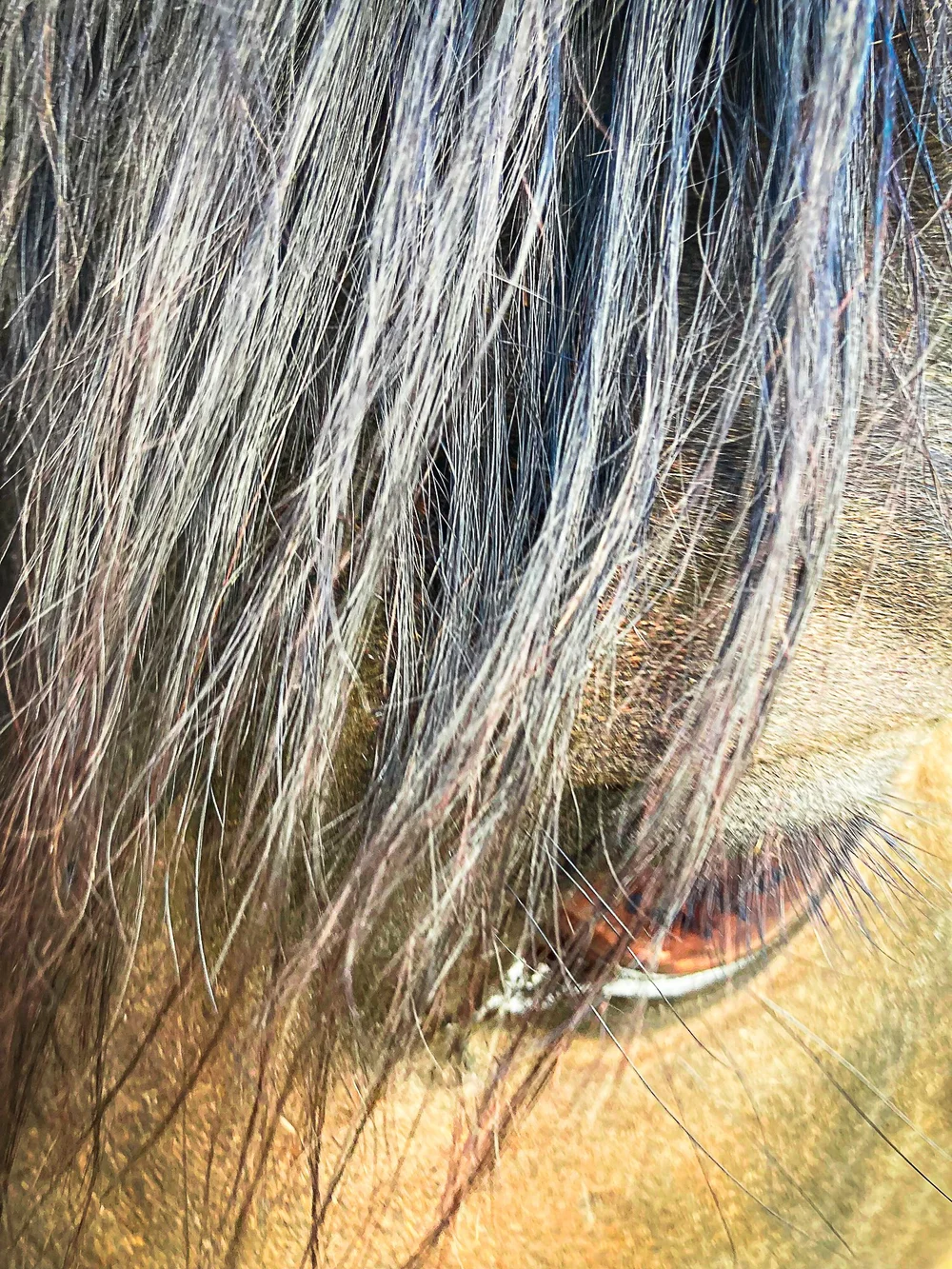 Products — Frogworks