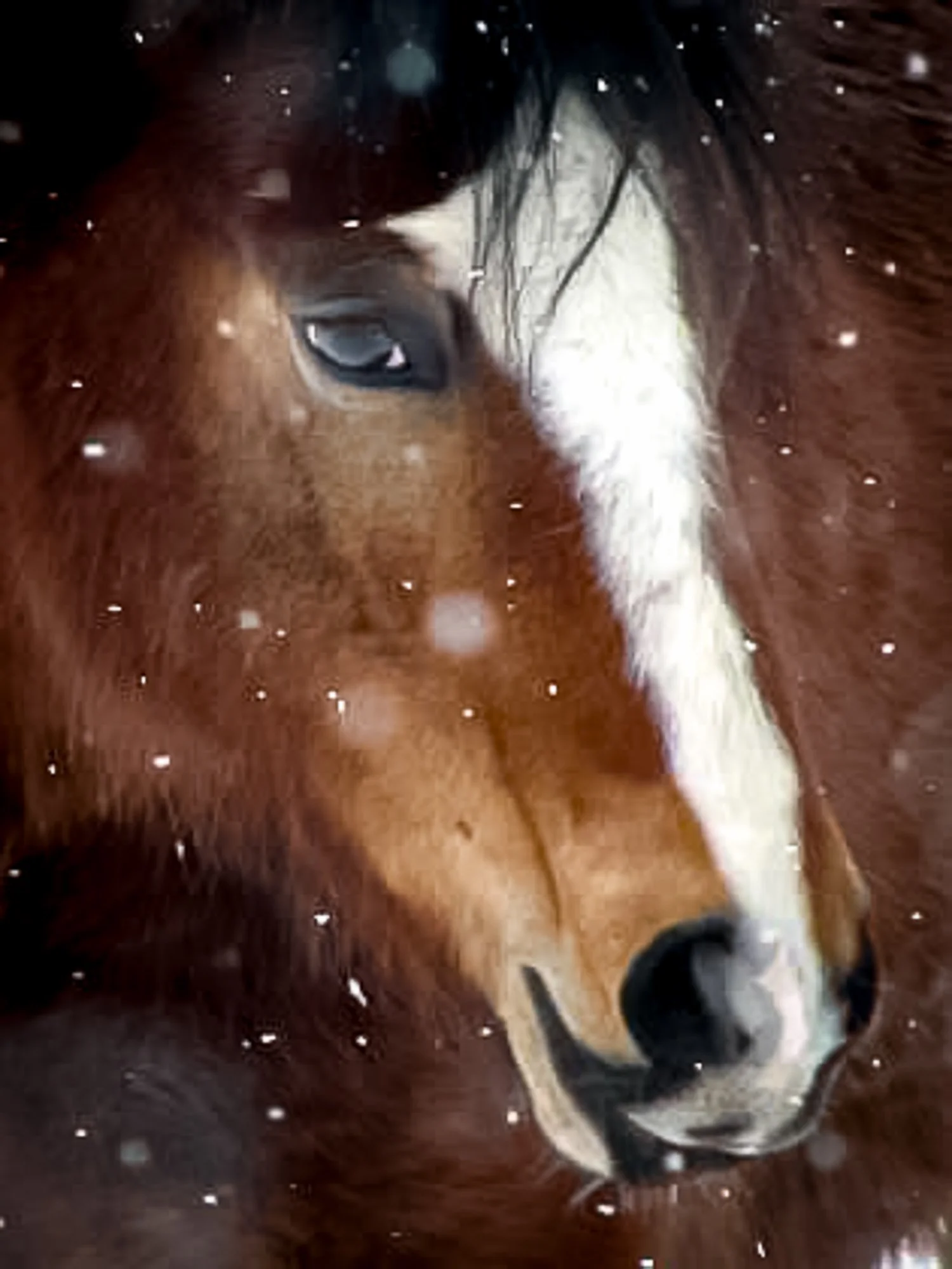 Products — Frogworks