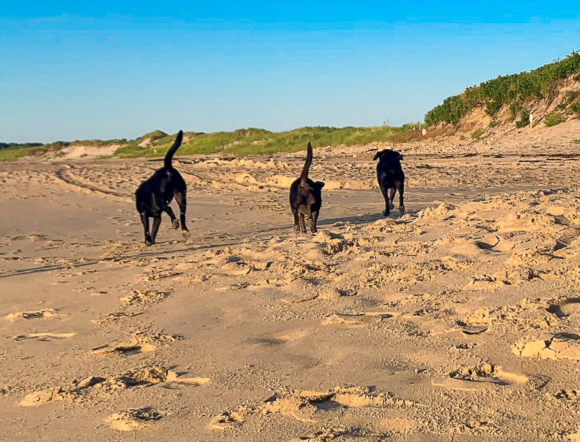 Products — Frogworks