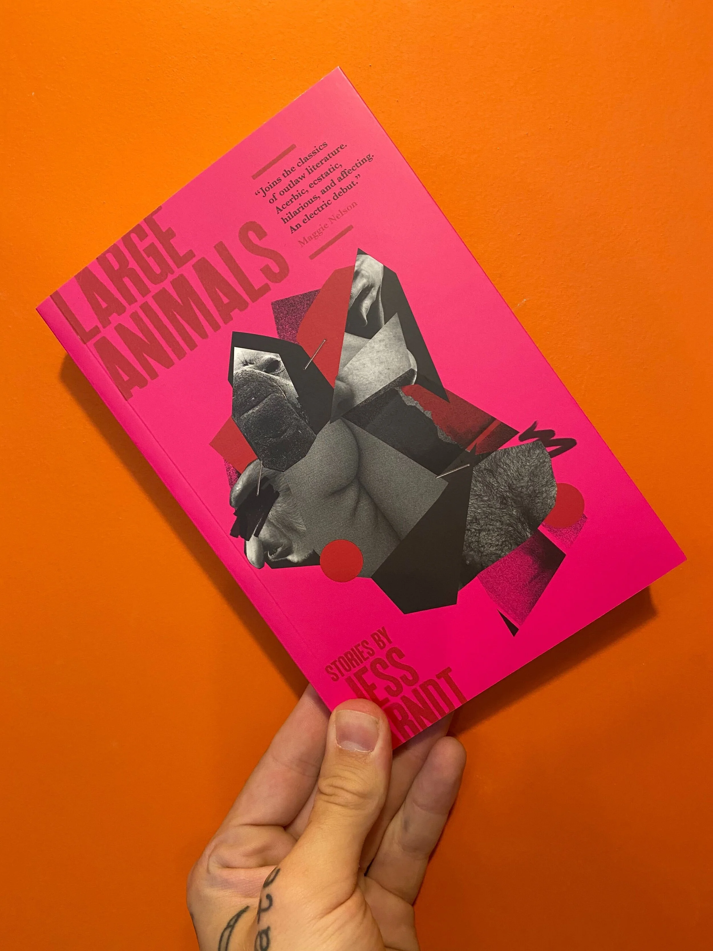 Large Animals By Jess Arndt October Books large-animals-by-jess-arndt-october-books
