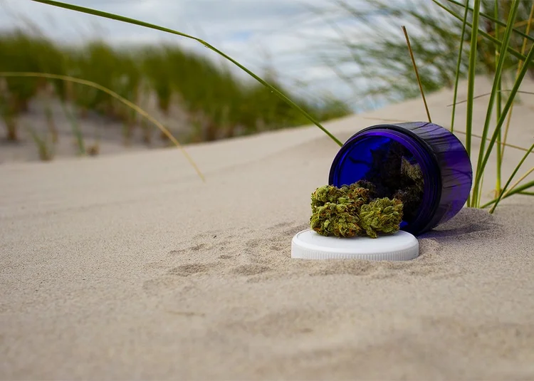 PREMIUM FLOWER — Breakwater Treatment & Wellness